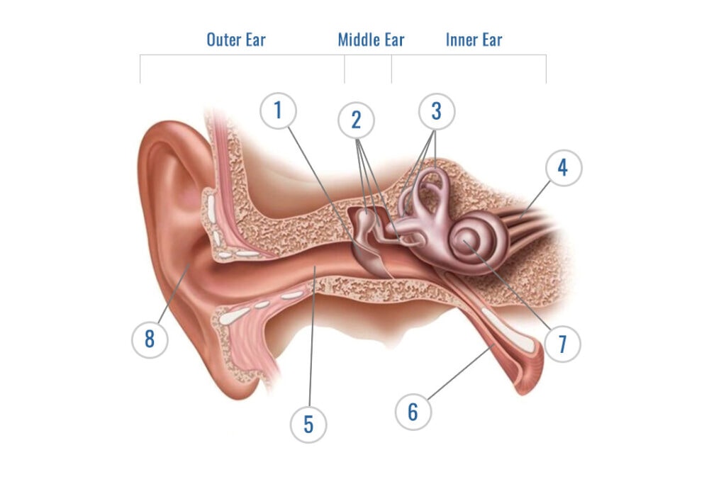 Hearing Tests - Adelaide Hearing